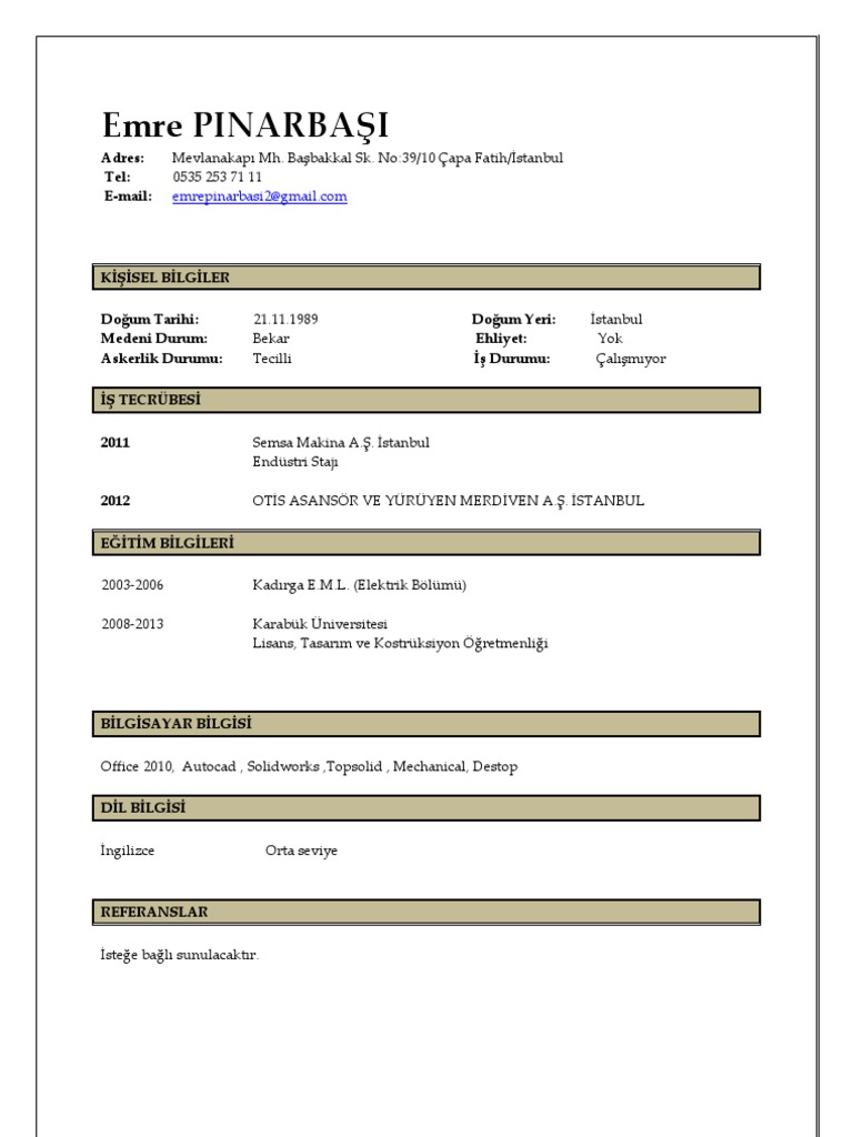 Türkçe Muhasebe CV Örneği | PDF