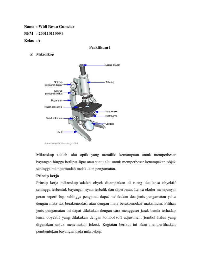 Prinsip Kerja Alat Lab | PDF