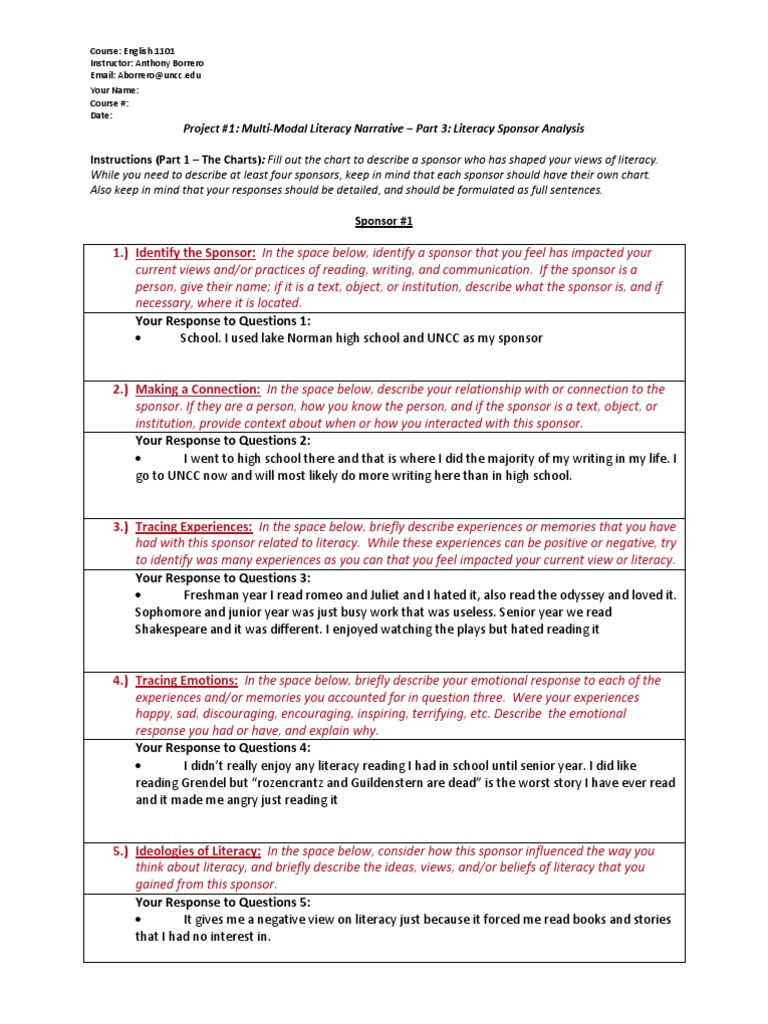Literacy Sponsor Analysis Worksheet | PDF | Literacy | Emotions