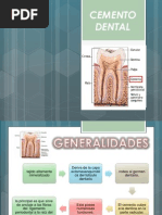 Tipos de Cemento Radicular: Acelular y Celular | PDF | Ramas de ...