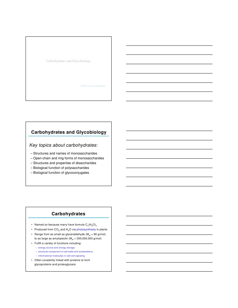 Carbohydrates Notes | PDF | Carbohydrates | Glucose