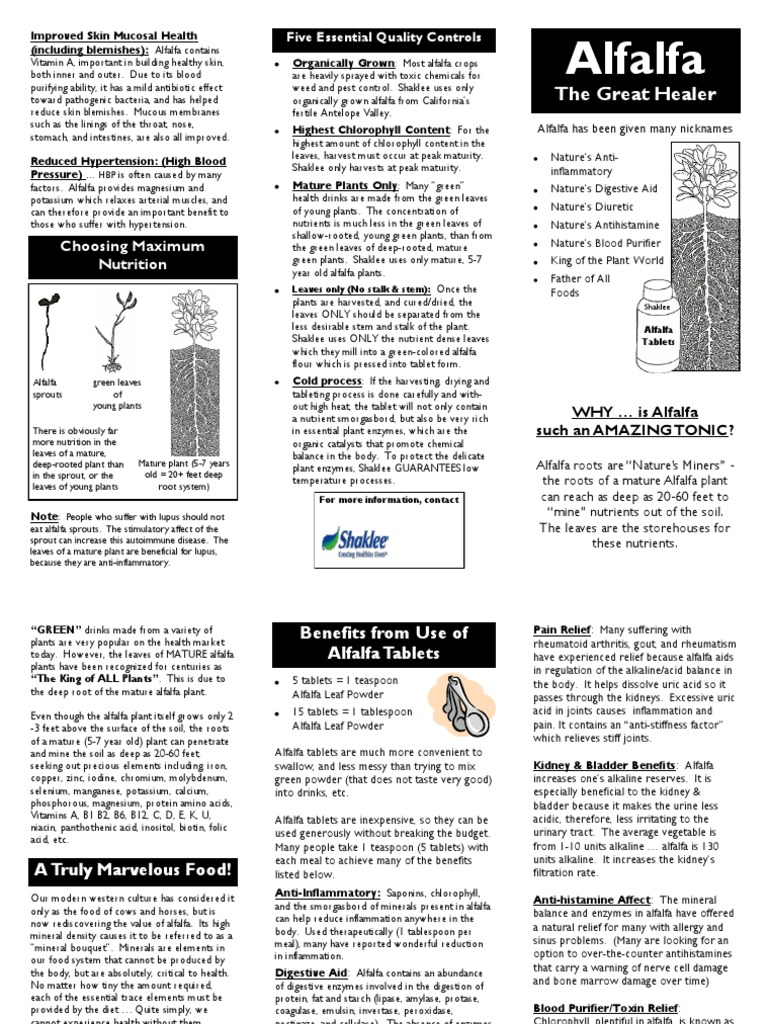 Alfalfa Pdf Alfalfa Plants