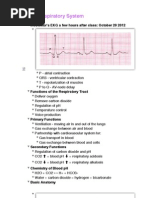 Understanding the Horse's Stay Apparatus | PDF | Skeletal System | Joints