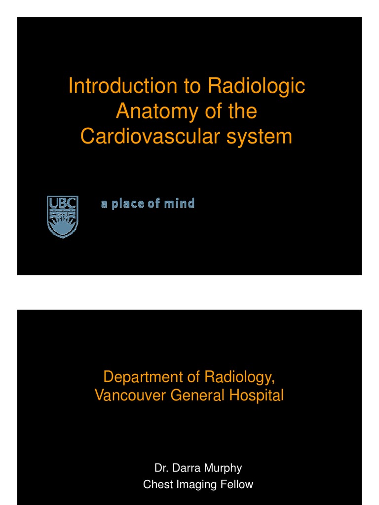 Lecture 6 - Cardiac Anatomy Slides | PDF | Heart Valve | Coronary ...