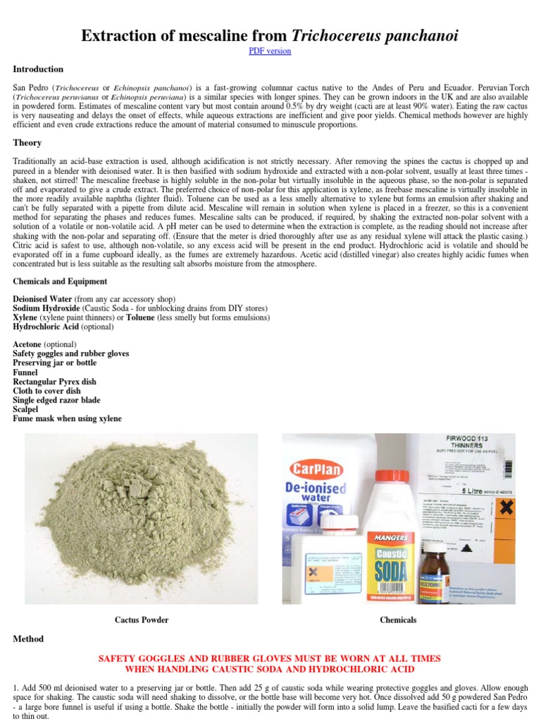 Mescaline | PDF | Sodium Hydroxide | Psychoactive Drugs