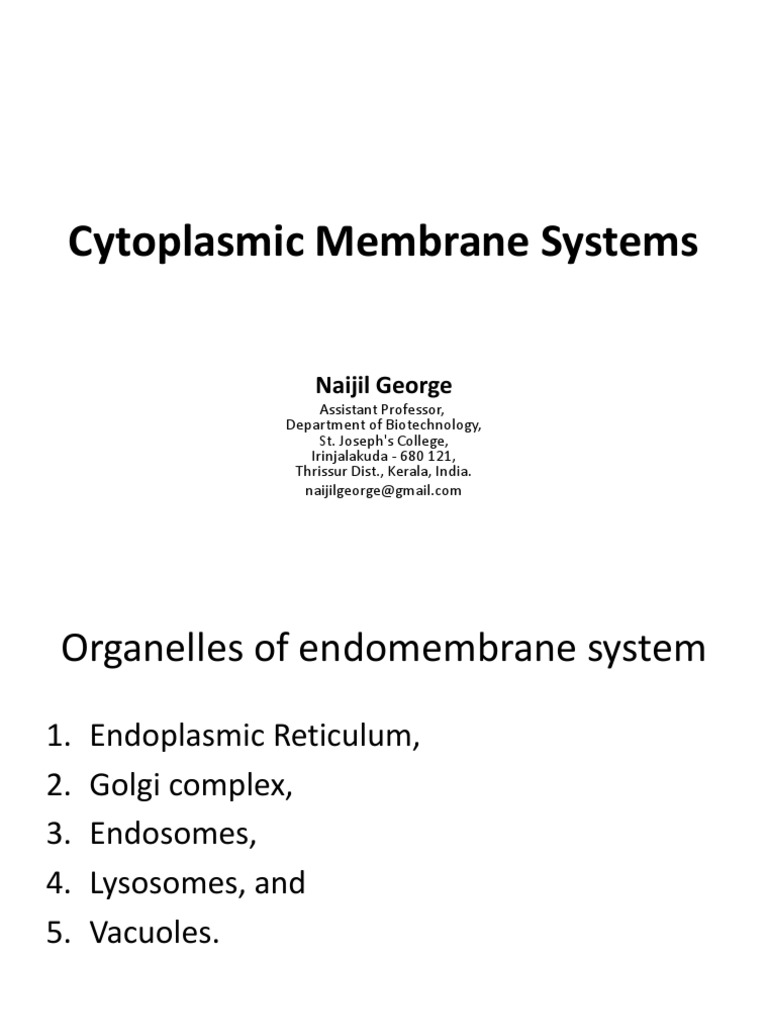 Cytoplasmic Membrane System | PDF | Endoplasmic Reticulum | Secretion