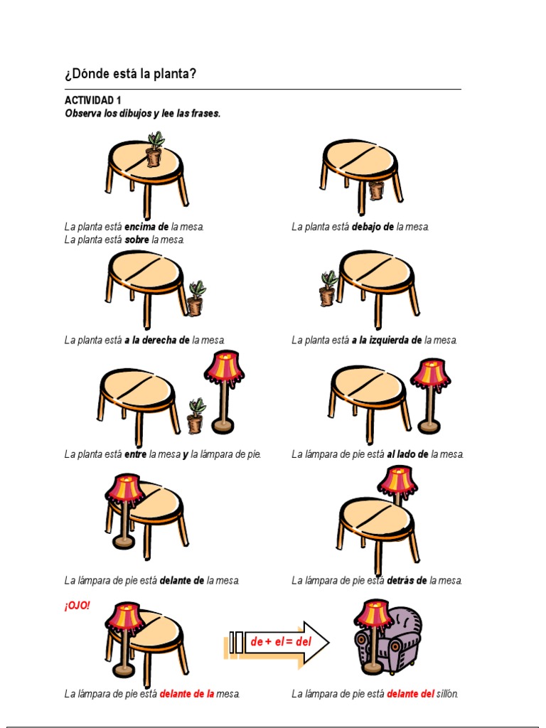Preposiciones Espaciales Dónde Está La Planta | PDF