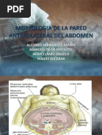Incisión de Pfannenstiel: Técnica y Aplicaciones | PDF | Pelvis | Vagina