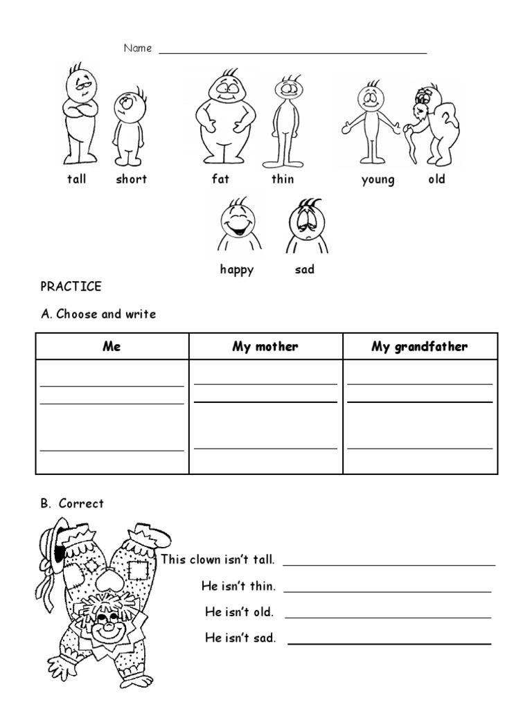 Descriptive Adjectives Practice Worksheet | PDF