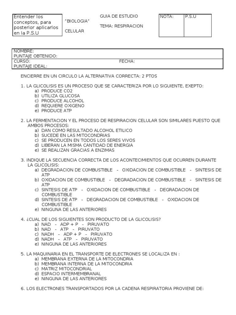 Hoja De Trabajo De Respiración Celular, Biología Avanzada Biología