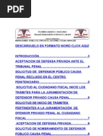Formato Modelo Ejemplo Solicitud de Nombramiento de Defensor Público CAUSA PENAL | PDF