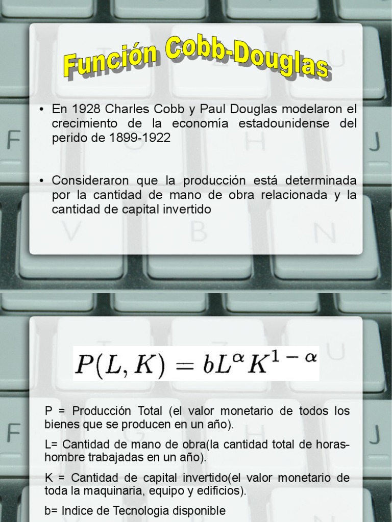 Funcion Cobb Douglas | PDF