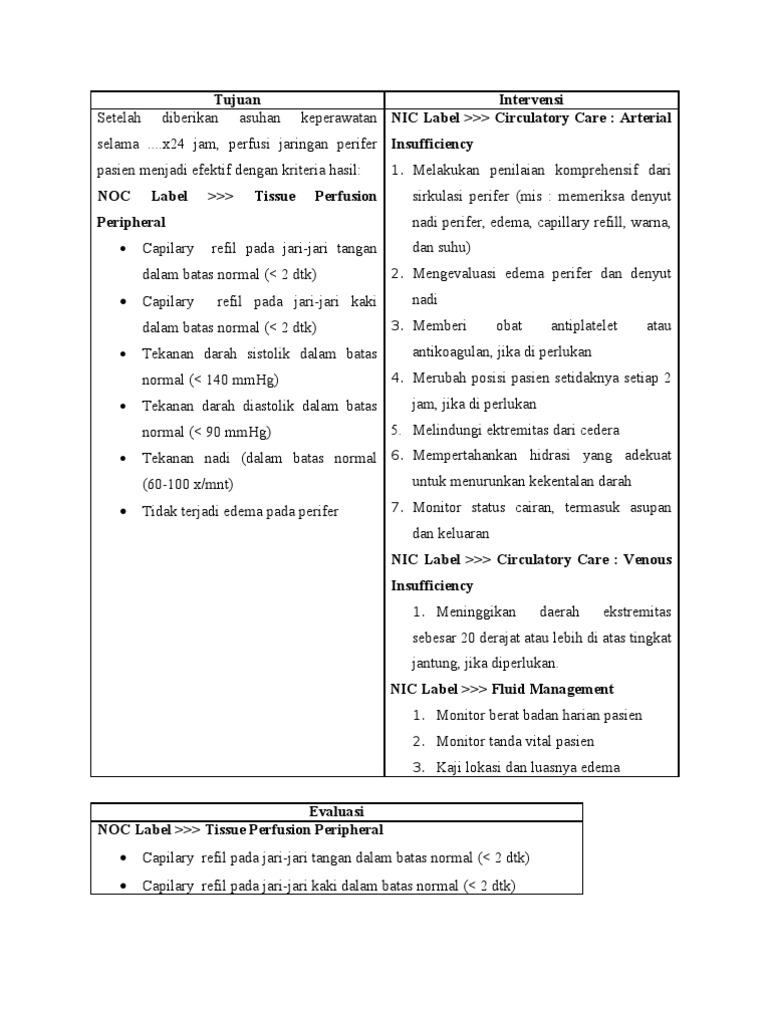 Intervensi Perfusi Jaringan Perifer | PDF