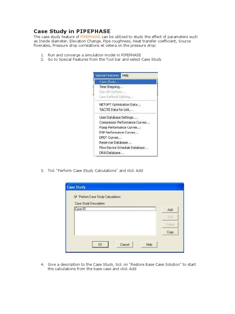 Case Study in Pipephase | PDF