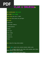Umanjenice I Uvećanice | PDF