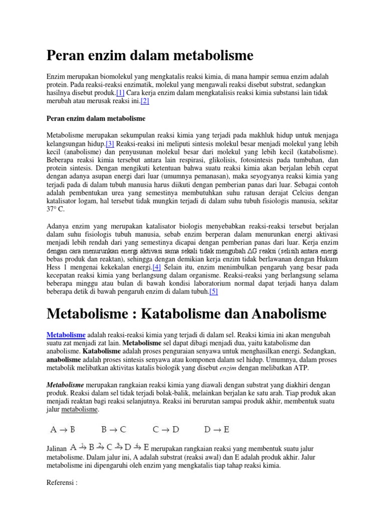 Peran Enzim Dalam Metabolisme | PDF