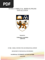 FPSO Umbilical-Flexible Riser Installation Procedure | PDF