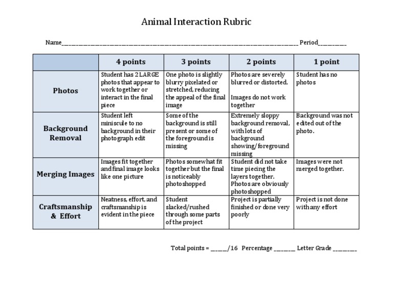 Animal Interaction Rubric Guide | PDF