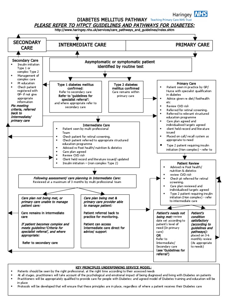 7690 - Intermediate - Care Service Model Flow Chart | PDF | Diabetes ...