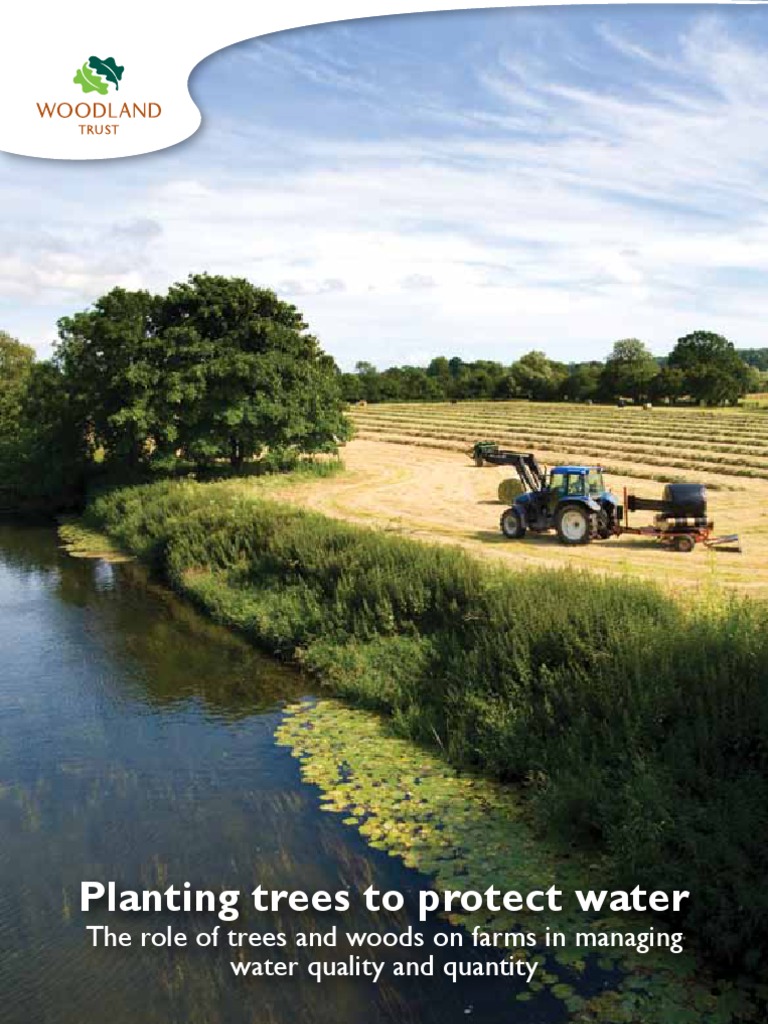 Planting Trees To Protect Water - Evidence Report | PDF | Riparian Zone ...