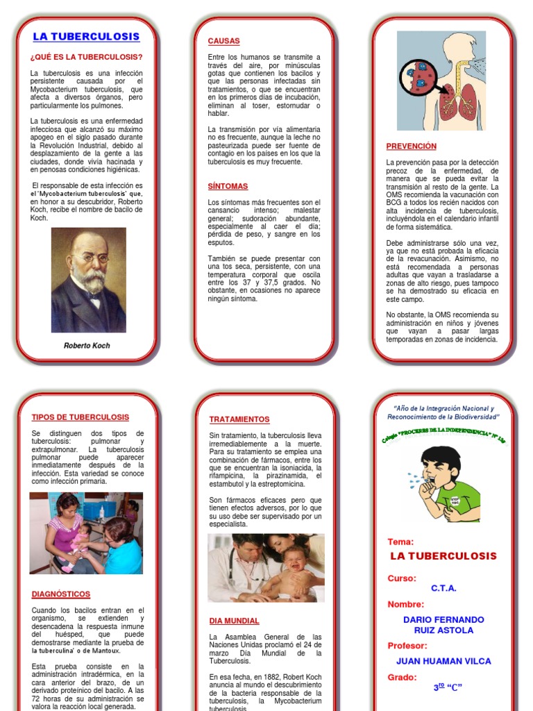 Triptico - La Tuberculosis | PDF | Tuberculosis | Especialidades Medicas