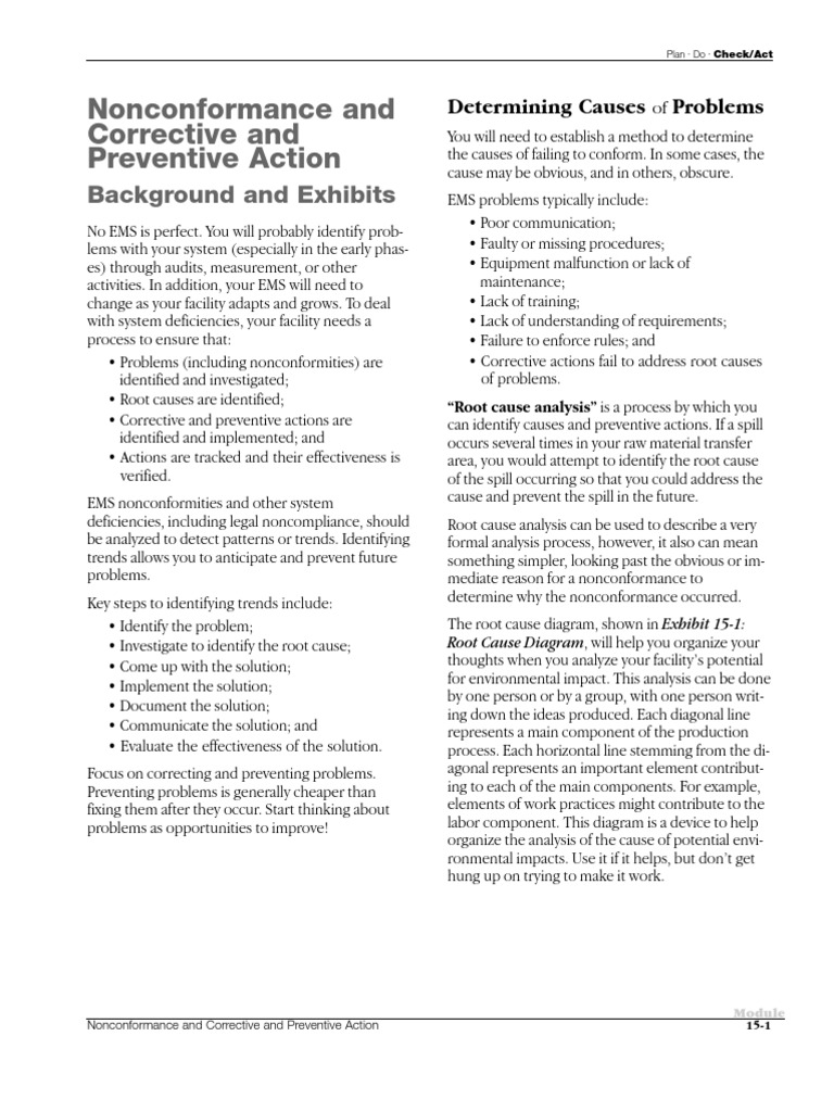 CAPA-SOP | Audit | Business