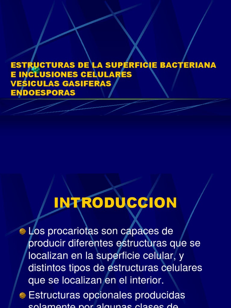 Estructuras de La Superficie Bacteriana e Inclusiones Celulares | PDF ...