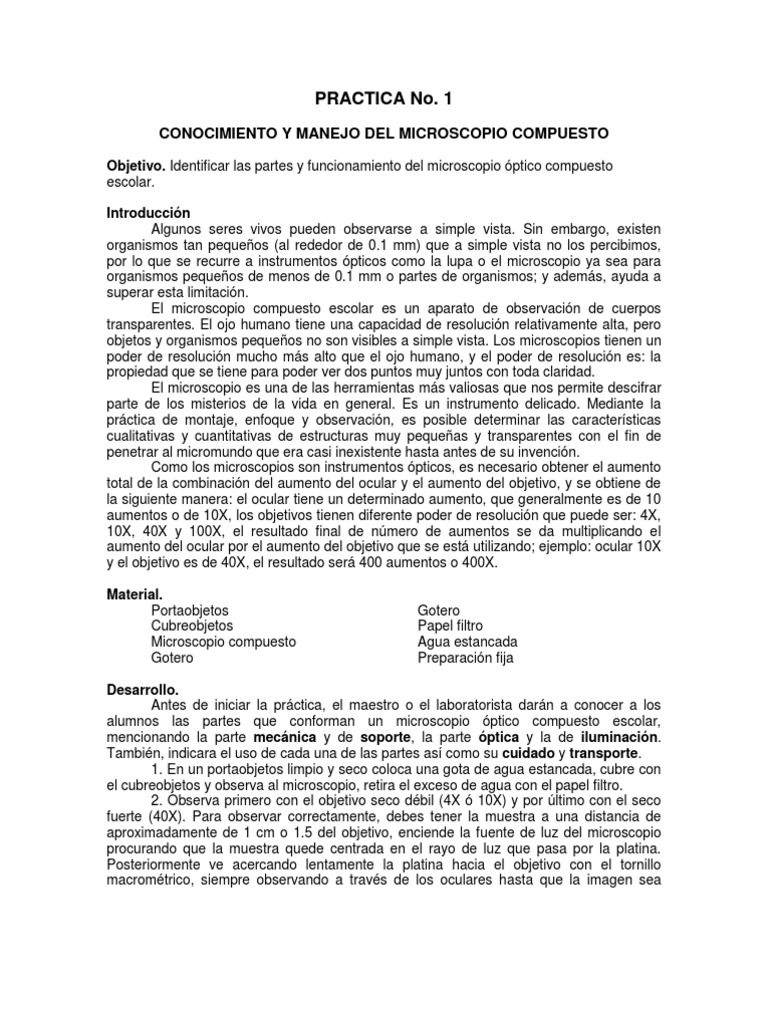 Conoce El Microscopio | PDF