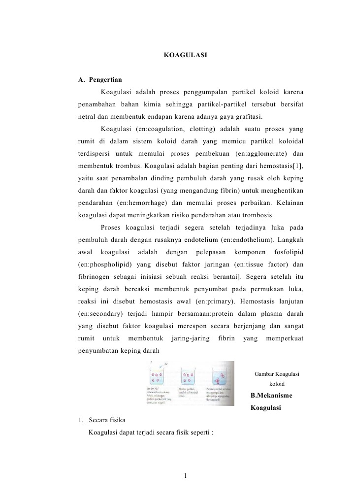 Proses dan Contoh Koagulasi Koloid | PDF