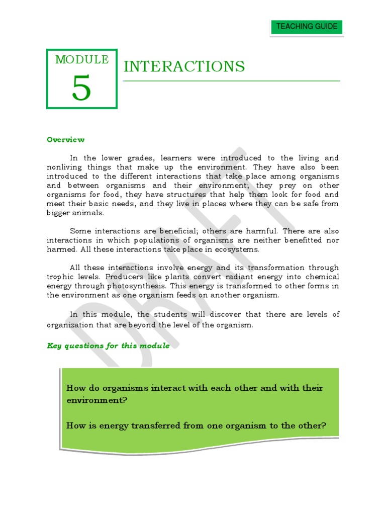 Grade 7 Science: Ecosystem Interactions | PDF | Food Web | Predation