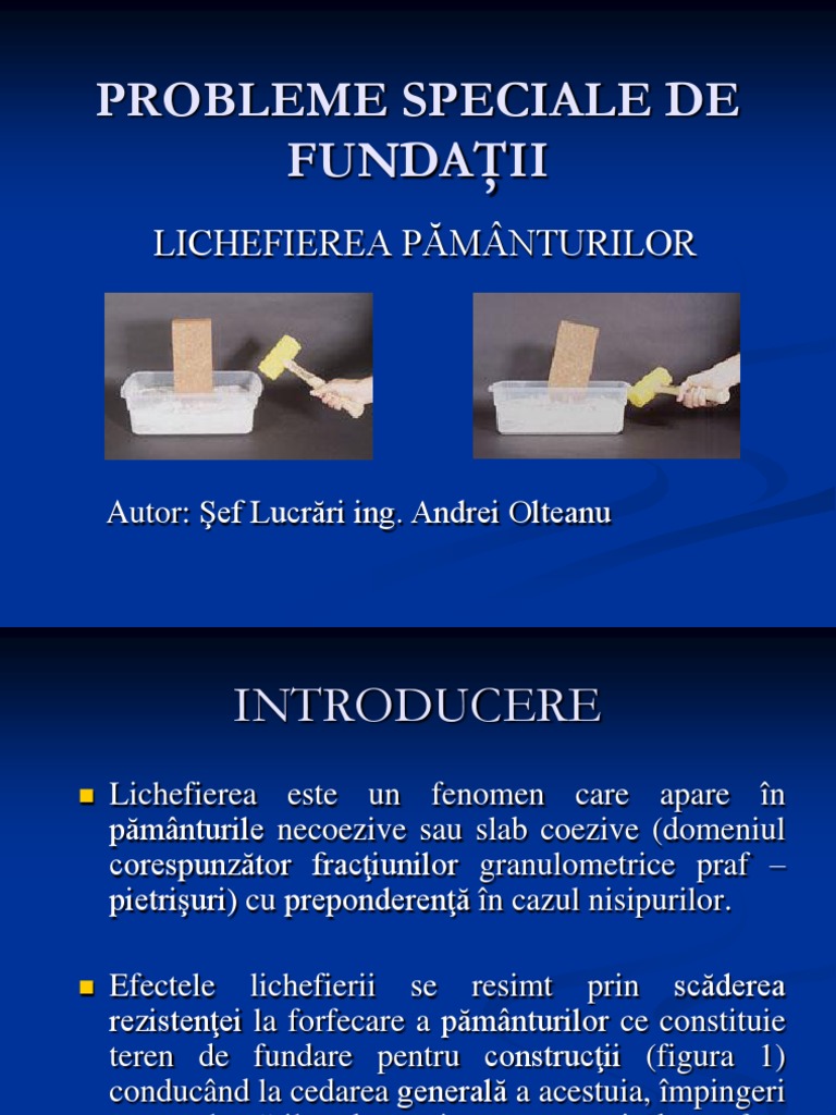 Lichefierea | PDF