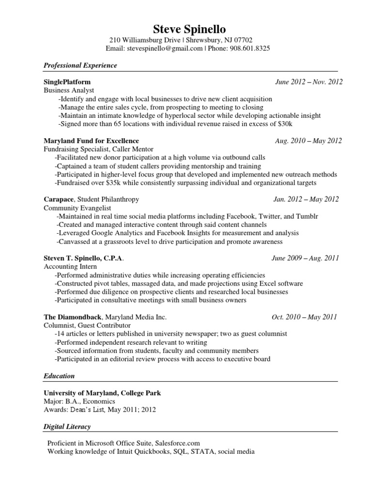 Steve Spinello's Professional Experience Summary | PDF