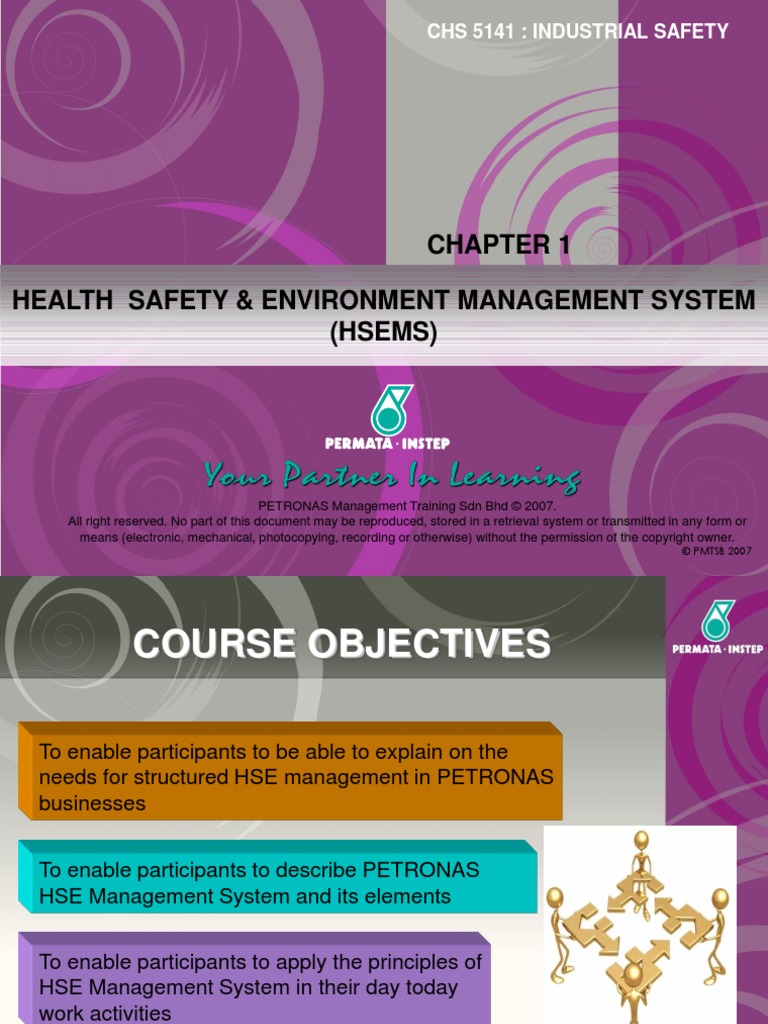 1.0 Hsems | PDF | Audit | Risk Management