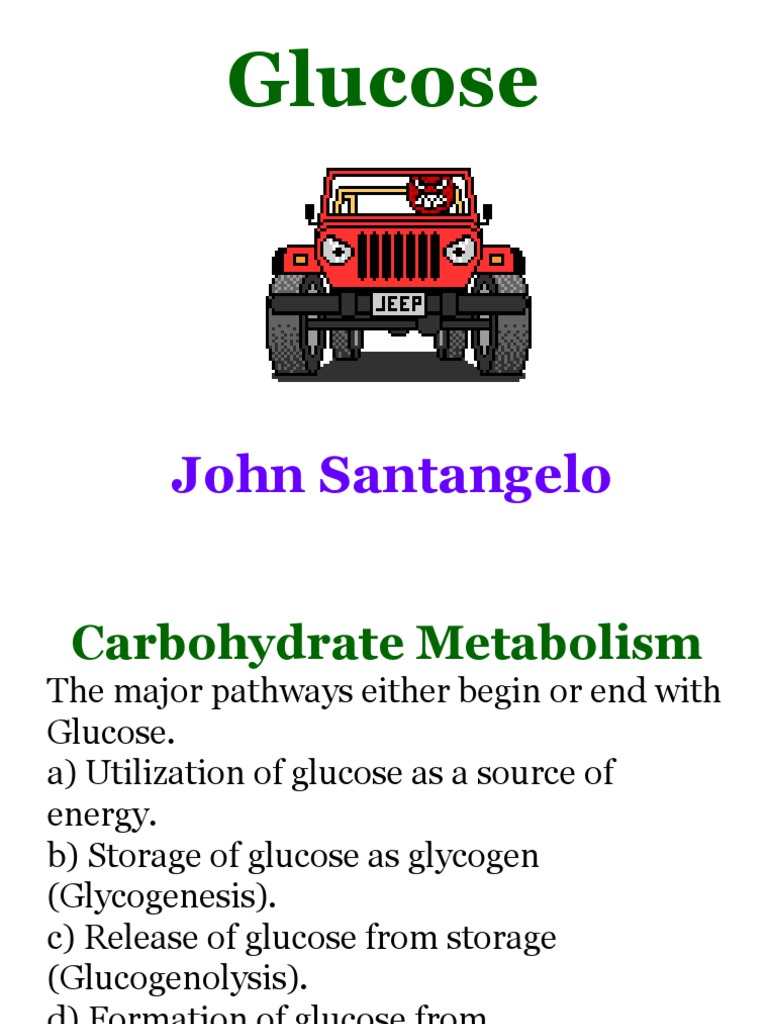 Glucose John Santangelo | PDF | Glycogen | Glycolysis