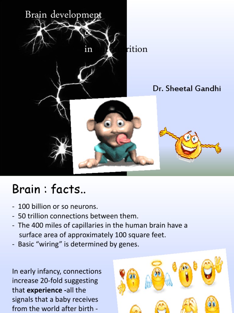 Braindev&Nutrition-By DR Sheetal Gandhil | PDF | Docosahexaenoic Acid | Omega 3 Fatty Acid