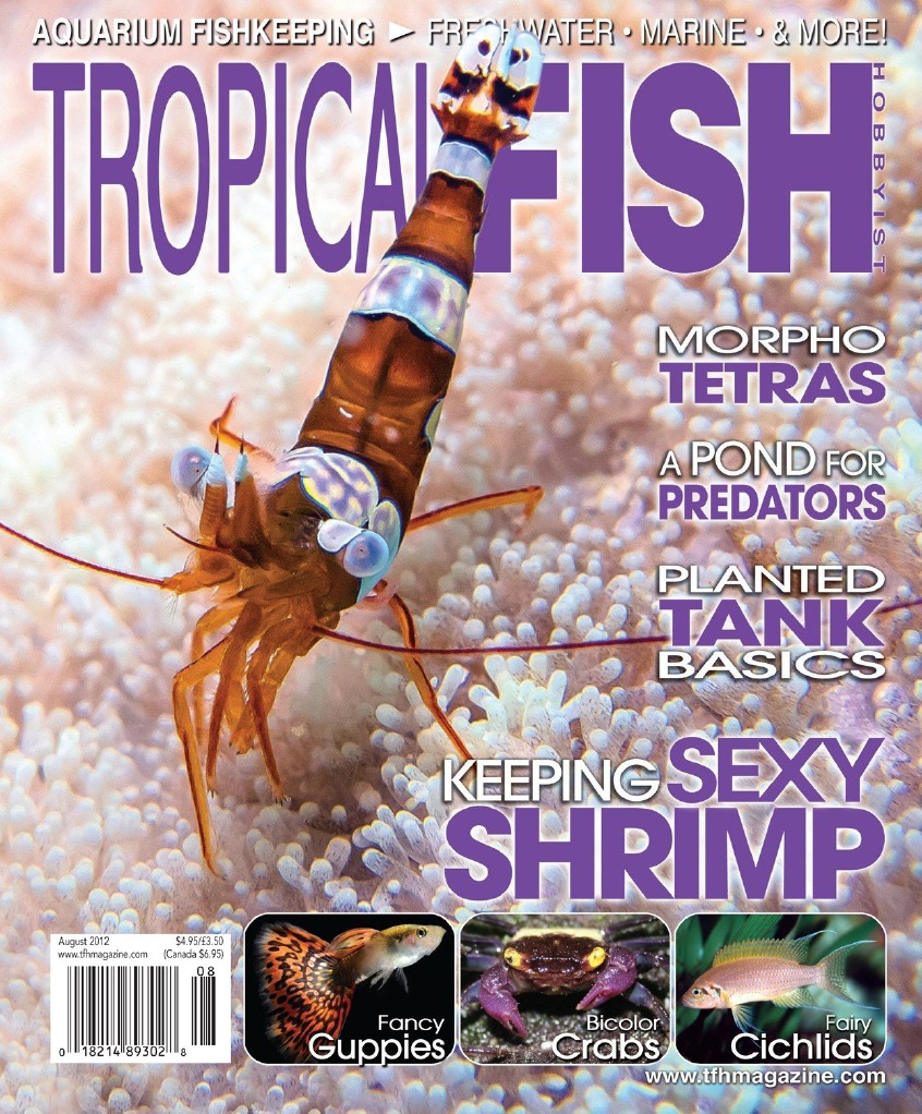 Tropical Fish Hobbyist 201208 | PDF