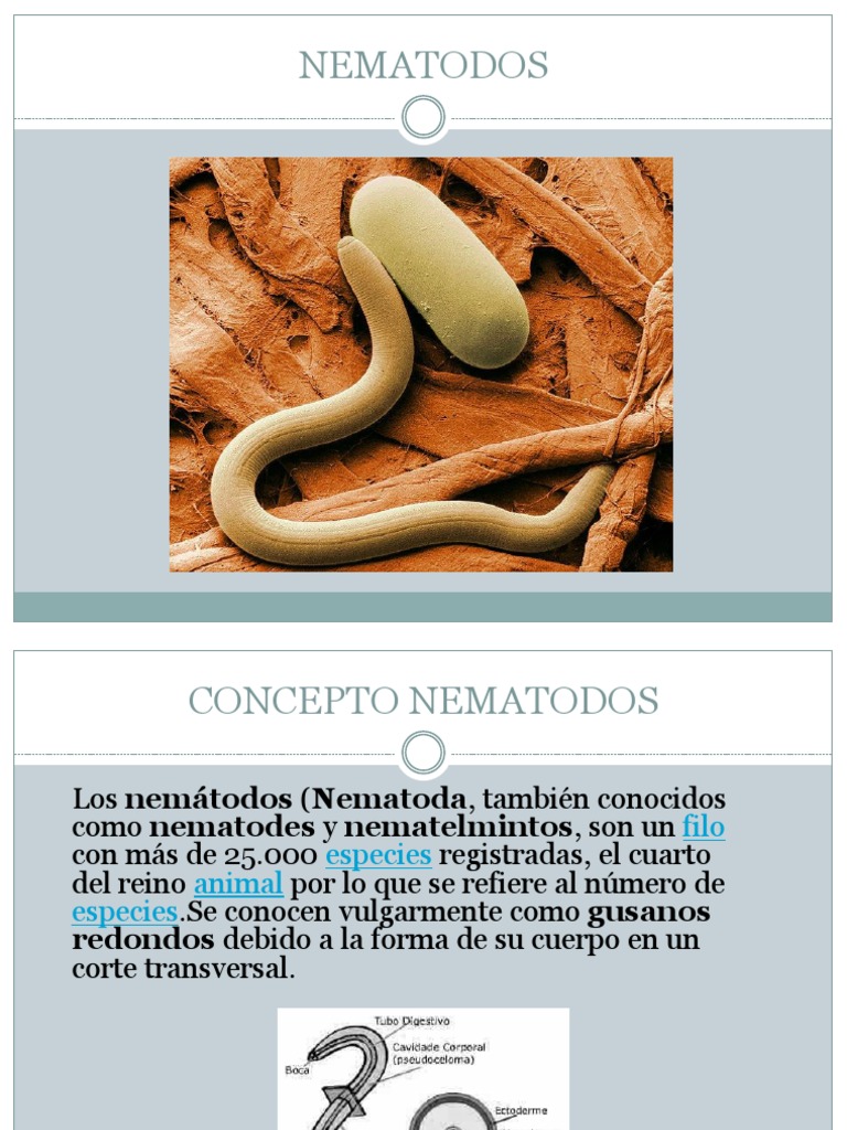 Nema Todos | PDF | Nematodo | Animales y humanos