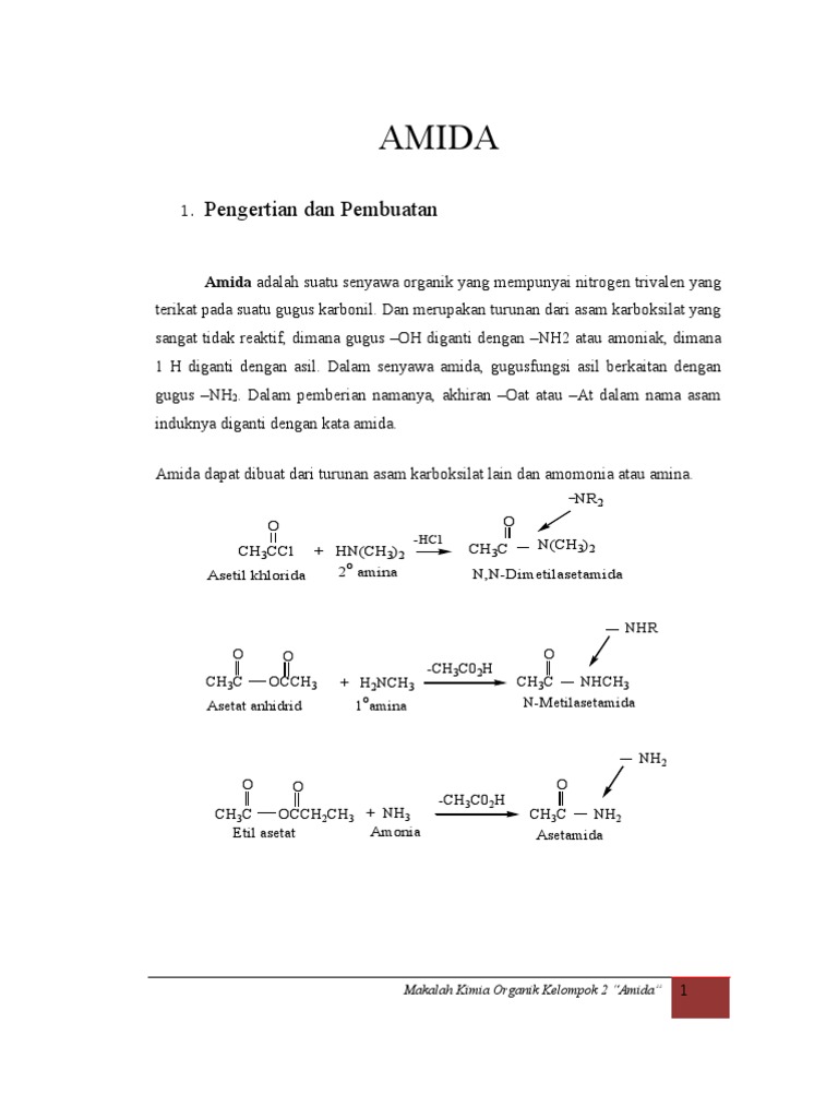 Makalah Kmia Organik AMIDA | PDF