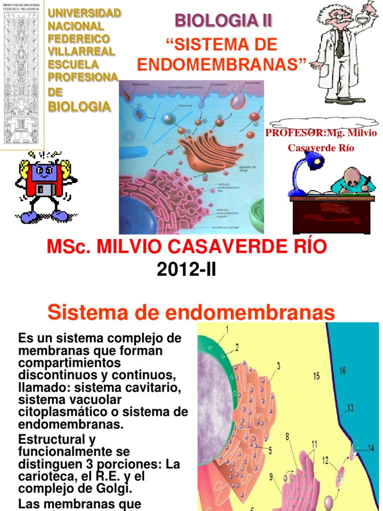El Sistema de Endomembranas.pptpara2010.Pptcap.V | Retículo ...
