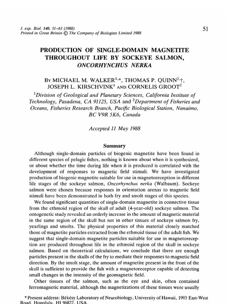 Production of Single-Domain Magnetite Throughout Life by Sockeye Salmon ...