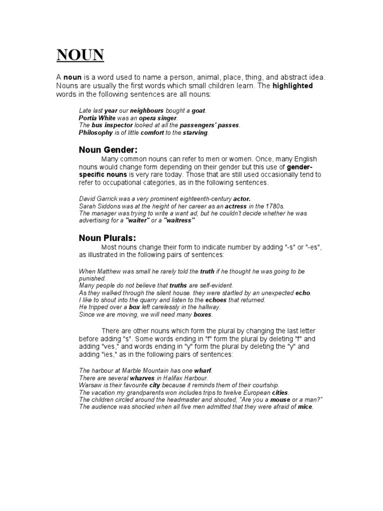 Assignment On Nouns | PDF | Pronoun | Grammatical Number