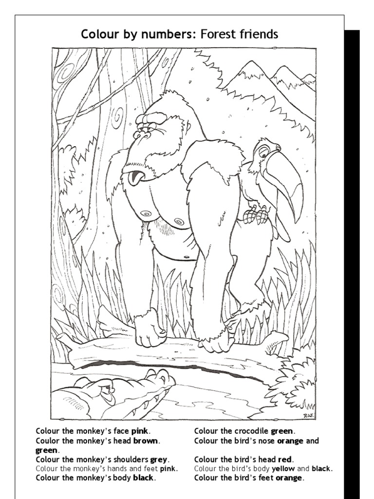 Colour by Numbers | PDF