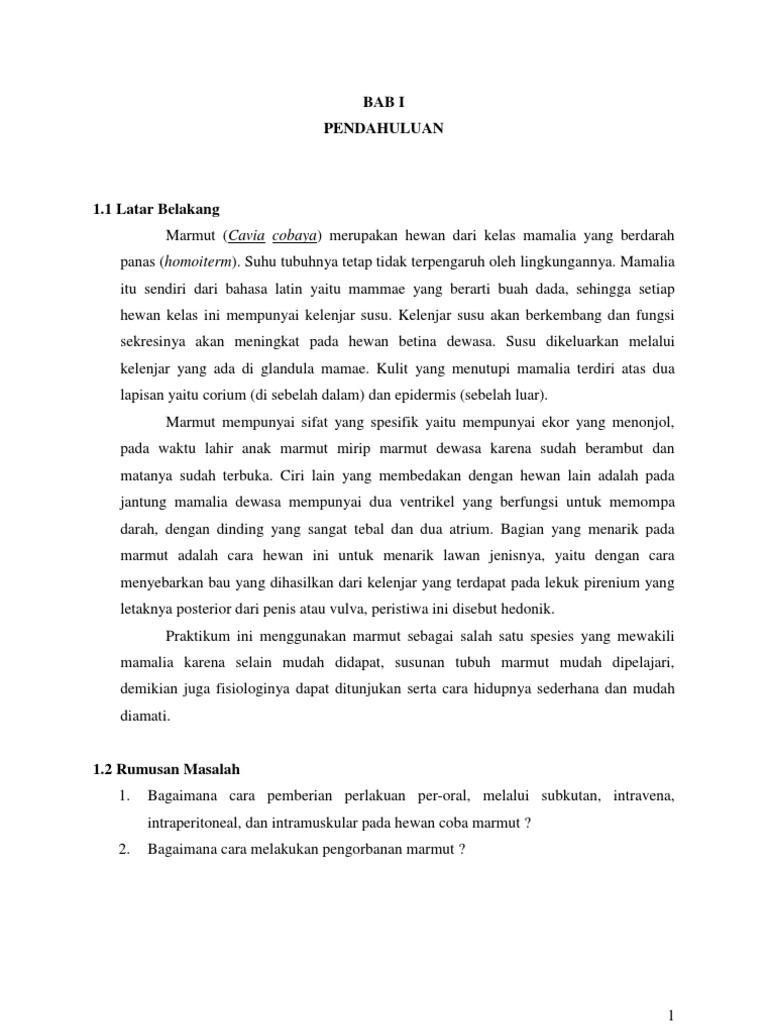 Tugas PHP Marmut | PDF