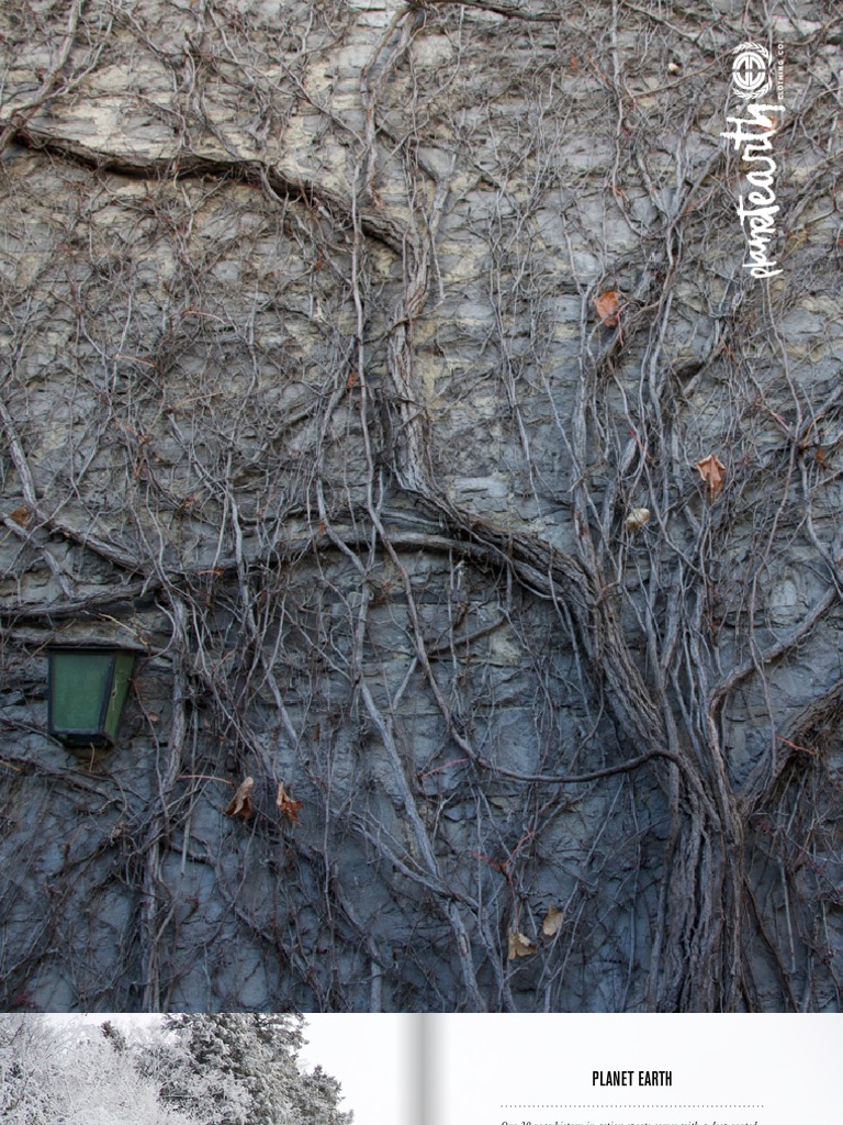 Planet-Earth-Clothing 2012-2013 Fall - Winter Catalogue | PDF ...