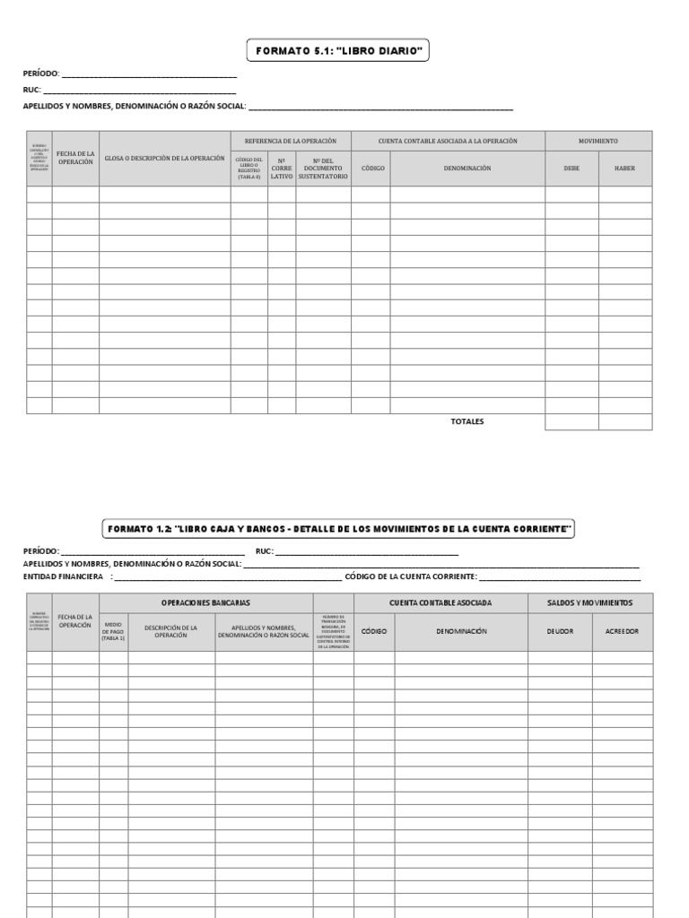 Formatos Contables para Imprimir | PDF | Depreciación | Contabilidad