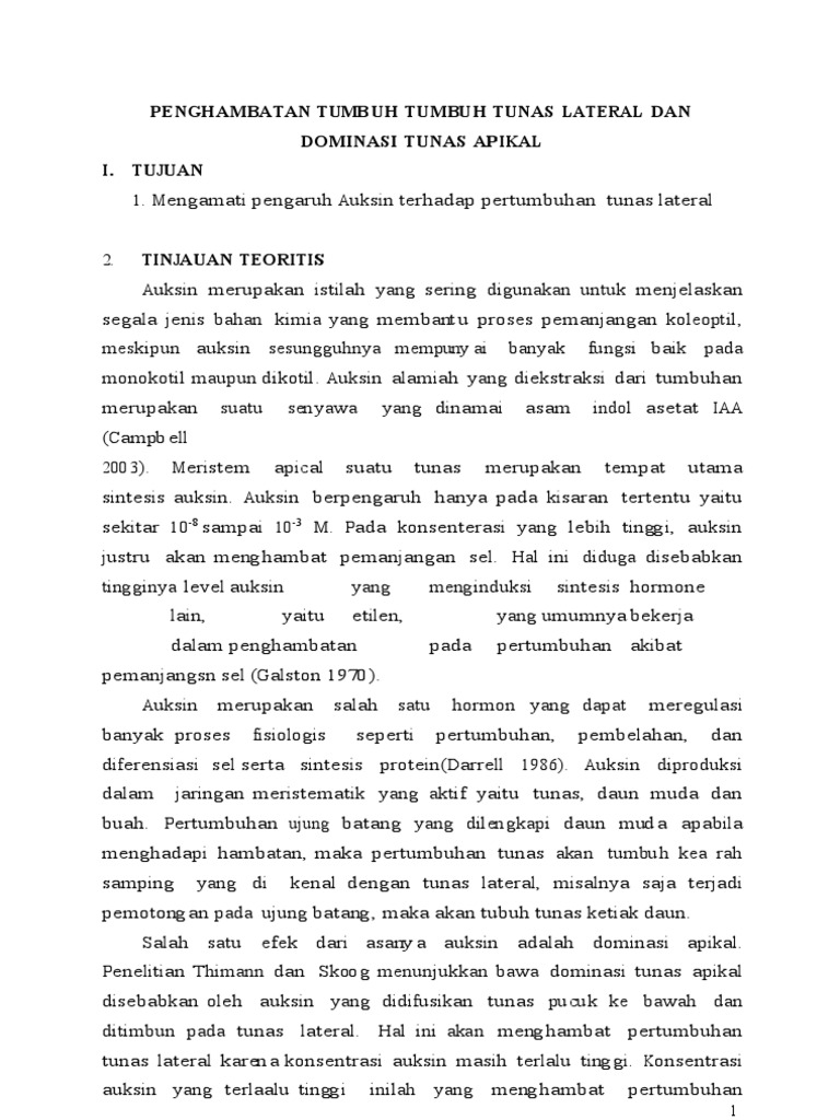 Laporan Paraktikum Tunas Lateral Dan Apikal | PDF