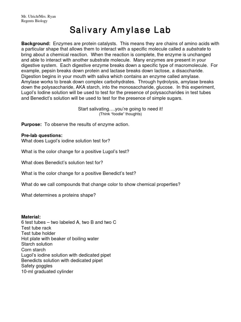 Salivary Amylase Lab: Enzyme Action Study | PDF | Enzyme | Carbohydrates