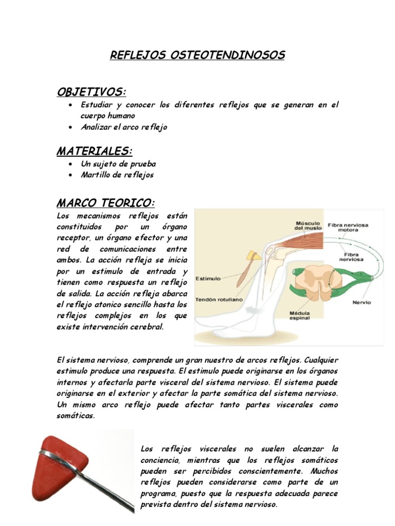 REFLEJOS OSTEOTENDINOSOS