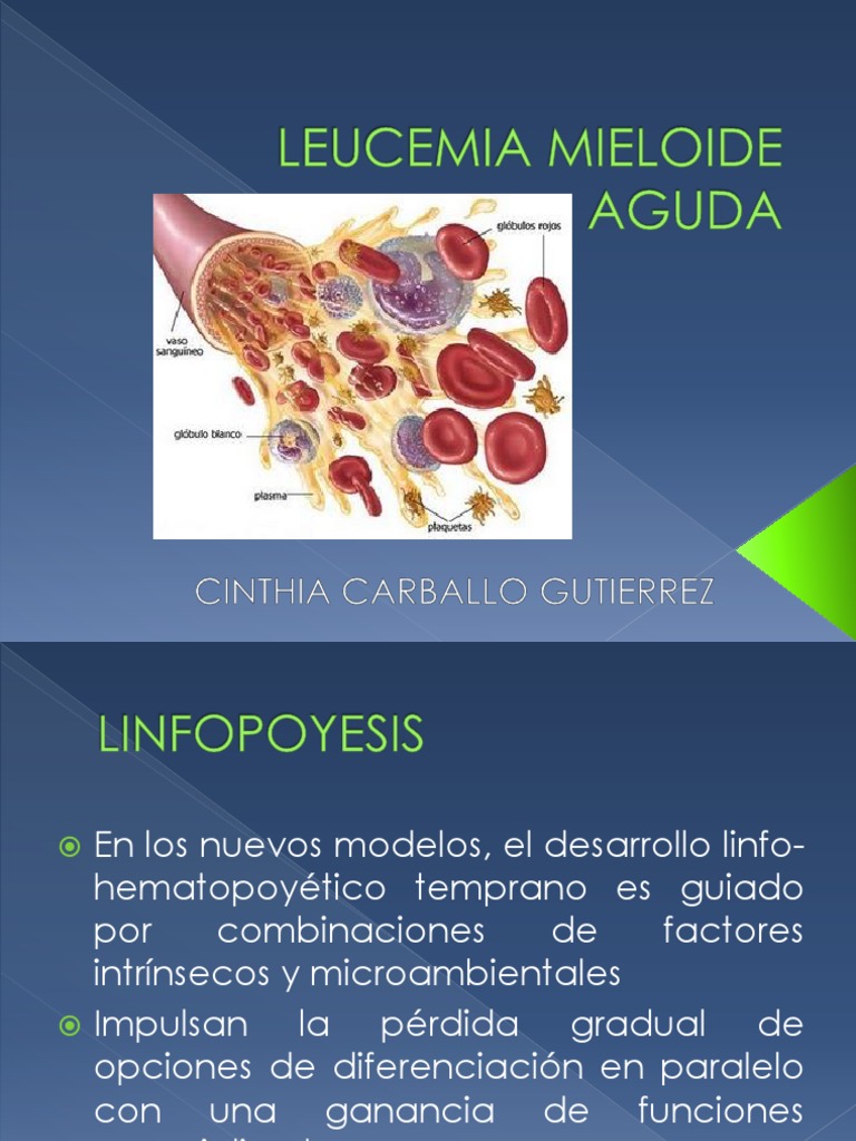 LEUCEMIA MIELOIDE AGUDA | Haematopoiesis | Leukemia