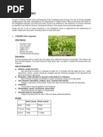 Lubby Santa | PDF | Horticulture And Gardening | Plants